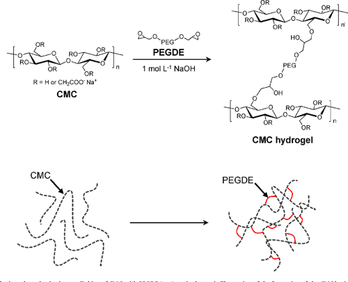 Table 1 from Characterization and properties of carboxymethyl cellulose ...