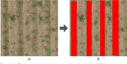 Figure 1 from Weed Detection in Maize Fields by UAV Images Based on Crop Row Preprocessing and ...
