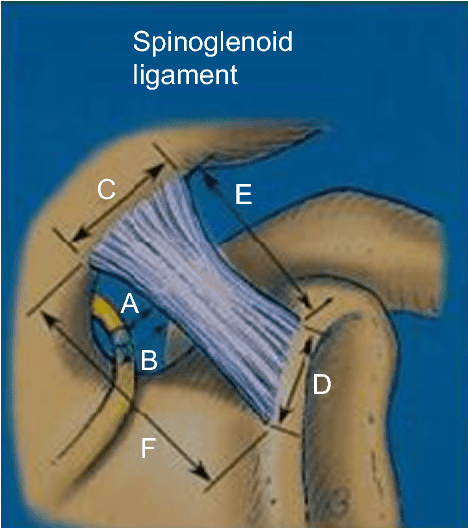 Figure 8 from Posterior Shoulder Pain and Arthroscopic Decompression of ...
