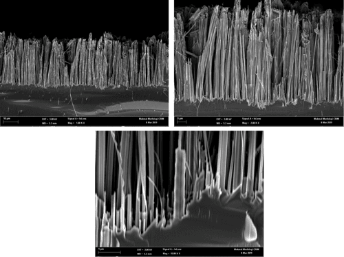 Figure 2 From High Aspect Ratio Silicon Nanostructures On N Type Silicon Wafer Using Metal