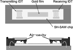 Figure 1 from Biosensor using shear-horizontal surface acoustic wave ...