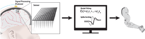 Table 1.1 from Fabrication of biomimetic electrodes by laser processing ...