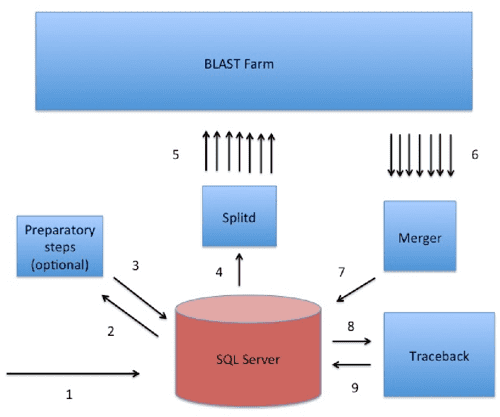 [PDF] The BLAST Sequence Analysis Tool | Semantic Scholar