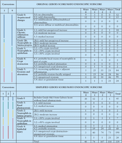 [PDF] A Simplified Geboes Score for Ulcerative Colitis | Semantic Scholar