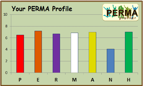 [PDF] The PERMA-Profiler: A brief multidimensional measure of ...