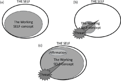 Figure 1 from Self-Affirmation Theory And The Change Of Perception Of ...
