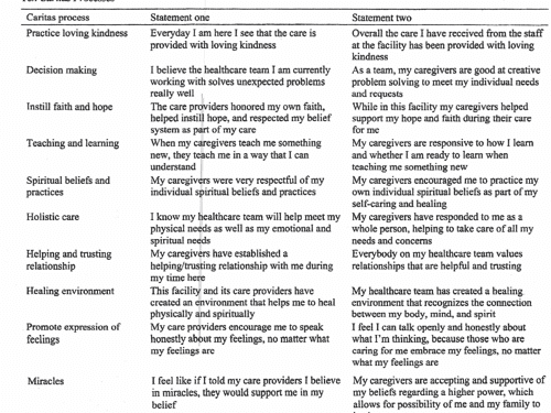 [PDF] Measuring the Caritas Processes: Caring Factor Survey | Semantic ...