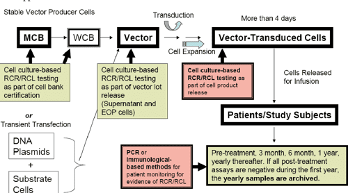 Table 1 from Briefing Document — Testing for Replication Competent ...