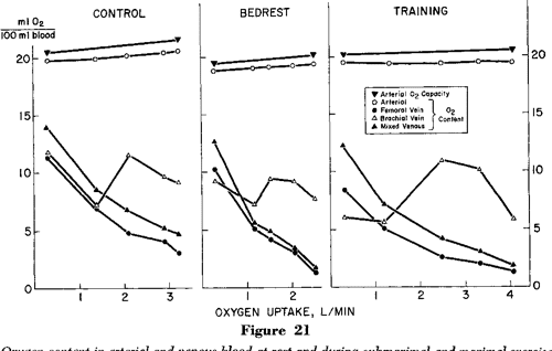 Response to exercise after bed rest and after training. | Semantic Scholar