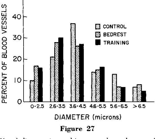 Response to exercise after bed rest and after training. | Semantic Scholar