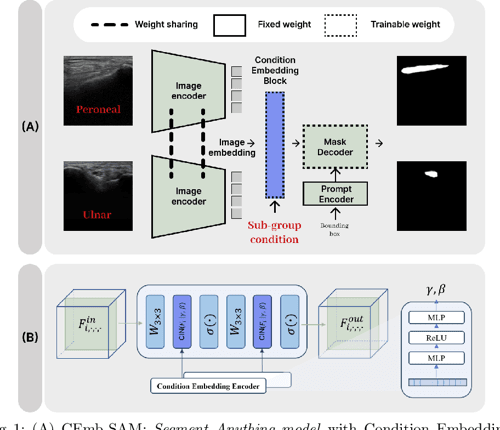 [PDF] CEmb-SAM: Segment Anything Model with Condition Embedding for Joint Learning from ...