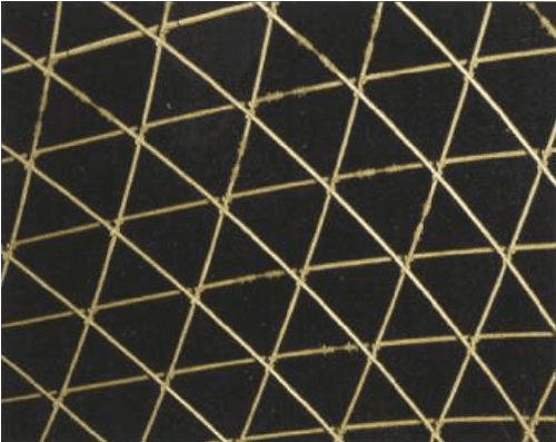 Figure 1.1 from Existence and construction of Chebyshev nets with ...
