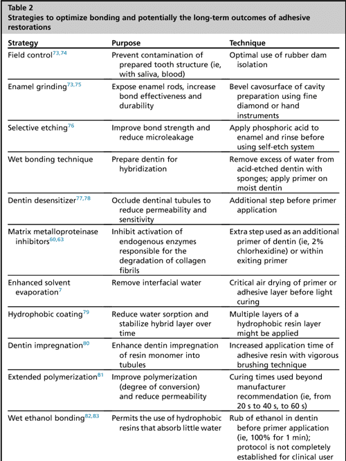 Figure 1 from An Overview of Dental Adhesive Systems and the Dynamic ...