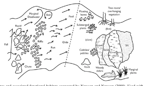 Table II from A Stream Evolution Model Integrating Habitat and ...
