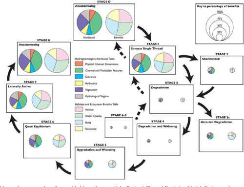 Figure 1 from A Stream Evolution Model Integrating Habitat and ...