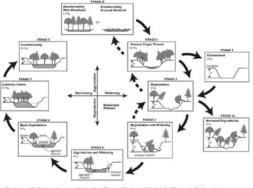 Figure 1 from A Stream Evolution Model Integrating Habitat and ...