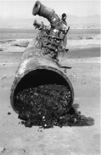 Figure 1 from Coupled 3D hydrodynamic models for submarine outfalls ...