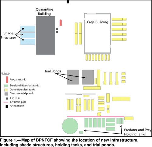 [PDF] Lower Colorado River Multi-Species Conservation Program Razorback ...