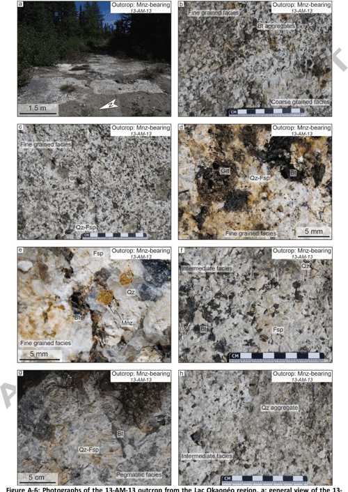 [PDF] Unusual LREE-rich, peraluminous, monazite- or allanite-bearing ...