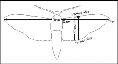 Table 1 from Cfd analysis and design optimization of flapping wing ...