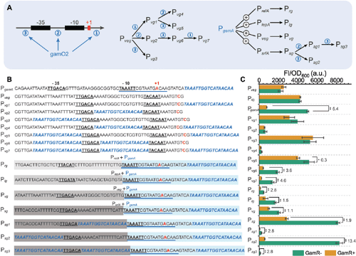 Figure 1 from Design of a programmable biosensor-CRISPRi genetic ...