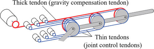 Figure 12 from Development of New Terminal Fixation Method for ...