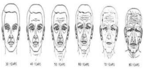 Human Age Group Classification Using Facial Features Semantic Scholar