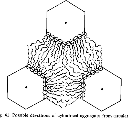 Figure 15 from Structure of the inverted hexagonal (HII) phase, and non ...