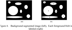 Figure 1 from Vision sensing system for early detection of Pebrine ...