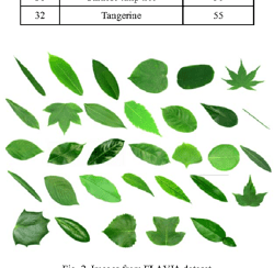 Figure 2 from Plant identification system using its leaf features ...