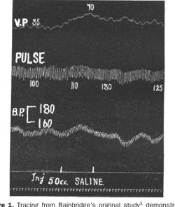 The Bainbridge and the “Reverse” Bainbridge Reflexes: History ...