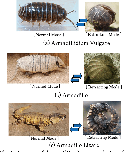 Armadillo-inspired wheel-leg retractable module | Semantic Scholar