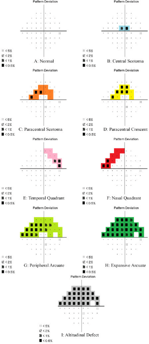 Figure 1 from The SCHEIE Visual Field Grading System | Semantic Scholar