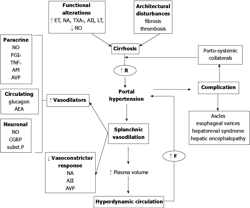 Physiopathology of splanchnic vasodilation in portal hypertension ...