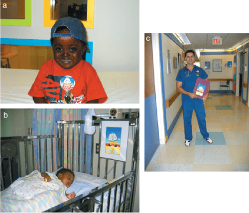 Figure 1 from The Humpty Dumpty Falls Scale: a case-control study ...