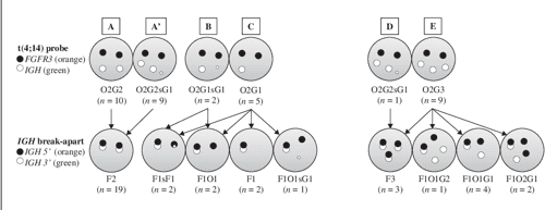 Comparison of IGH Profile Signals Using t(4;14) and IGH Break-Apart ...
