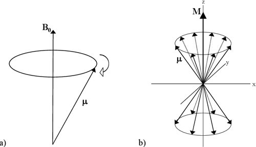 Figure 1.1 from HIGH FREQUENCY TRANSMIT-RECEIVE PHASED ARRAY COIL FOR ...