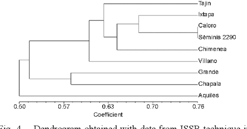 Figure 1 from Usefulness of three DNA-PCR techniques to differentiate ...
