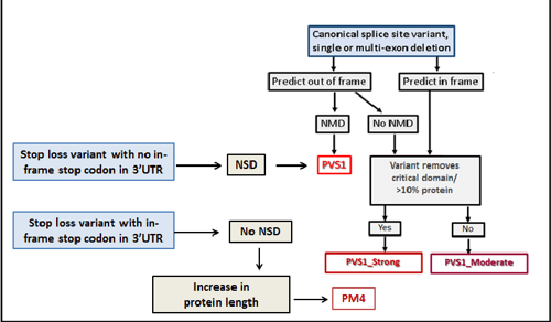 [PDF] ACGS Best Practice Guidelines for Variant Classification in Rare ...