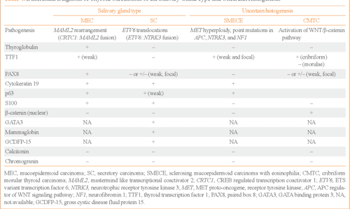 [PDF] Update from the 2022 World Health Organization Classification of ...
