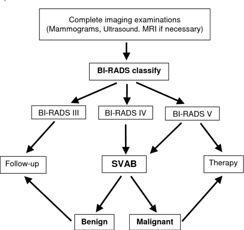 Figure 1 from Stereotactic vacuum-assisted biopsy ( SVAB ) of ...