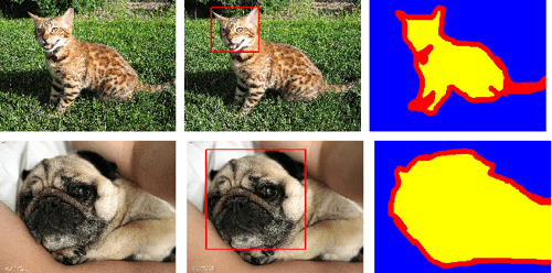 [PDF] Cats and dogs | Semantic Scholar