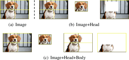 [PDF] Cats and dogs | Semantic Scholar