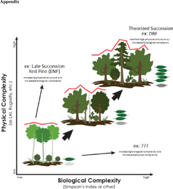 Figure 1 from Forest Stand Structure and Primary Production in relation ...