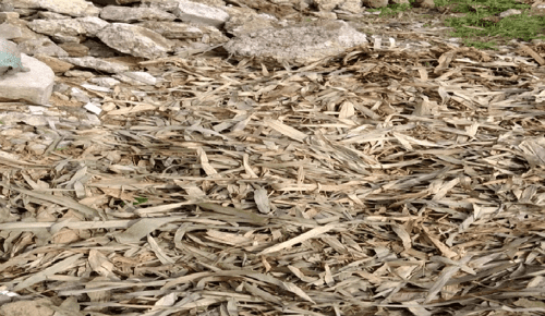 Figure 1 from Influence of Bamboo Leaf Ash Blended Cement on the ...