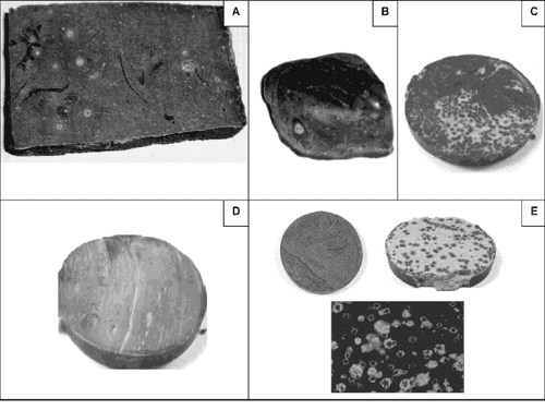 Figure 9 from Fat bloom in chocolate and compound coatings | Semantic ...