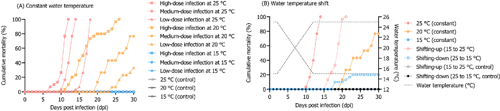 Figure 1 From Red Sea Bream Iridovirus Rsiv Kinetics In Rock Bream Oplegnathus Fasciatus At