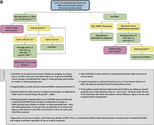 [PDF] Management of Incidental Pancreatic Cysts: A White Paper of the ...