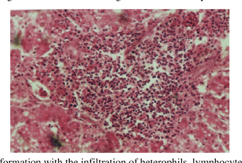 Figure 2 from Pathogenesis of Pullorum Disease (PD) in Chickens by ...