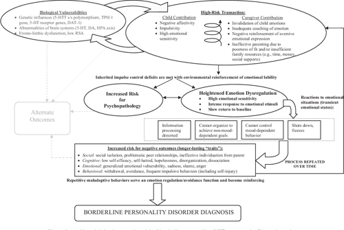 Figure 1 from A biosocial developmental model of borderline personality ...